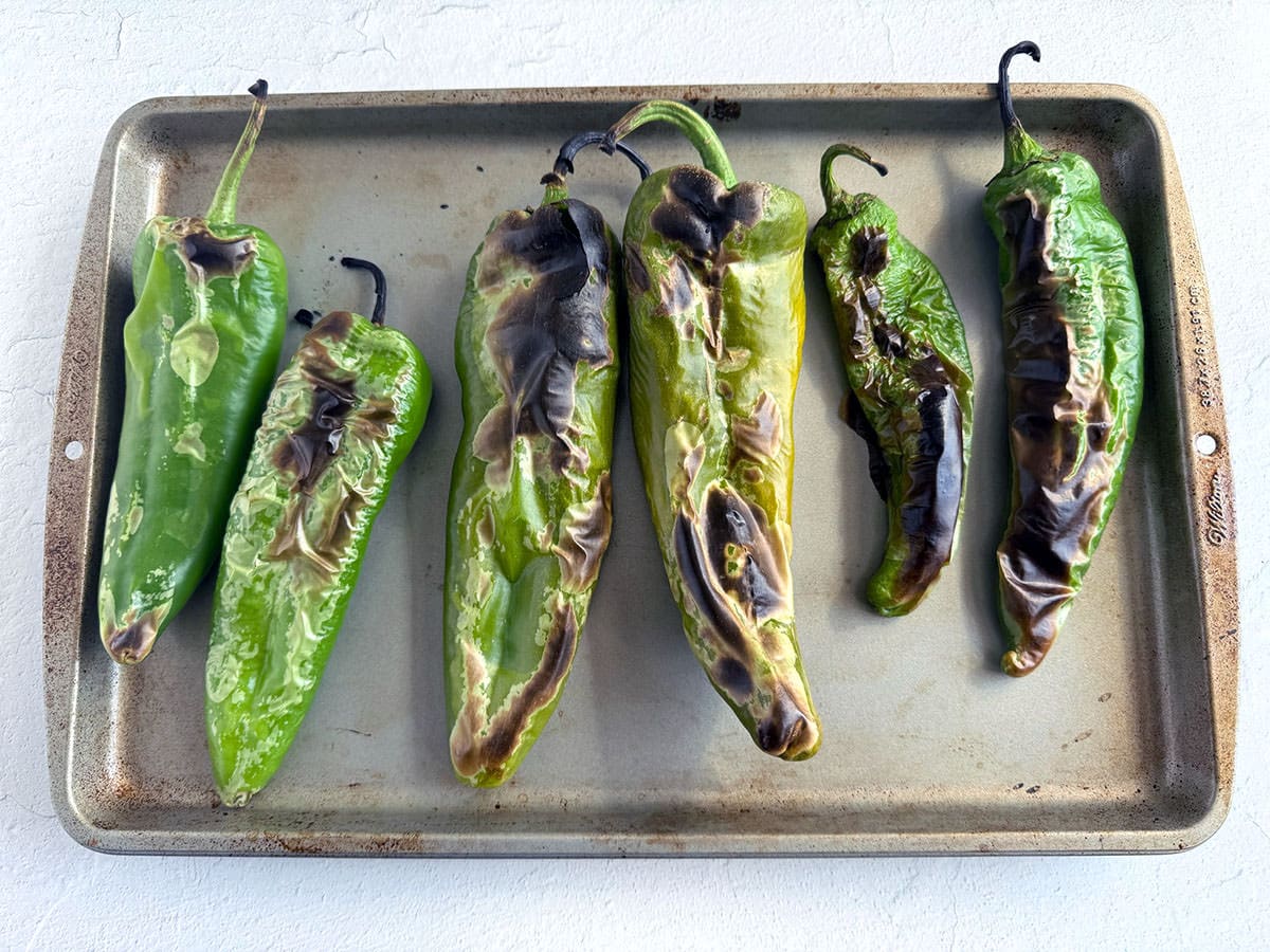 How to Roast Peppers (Oven, Stove Top or Grill) - Foodie and Wine